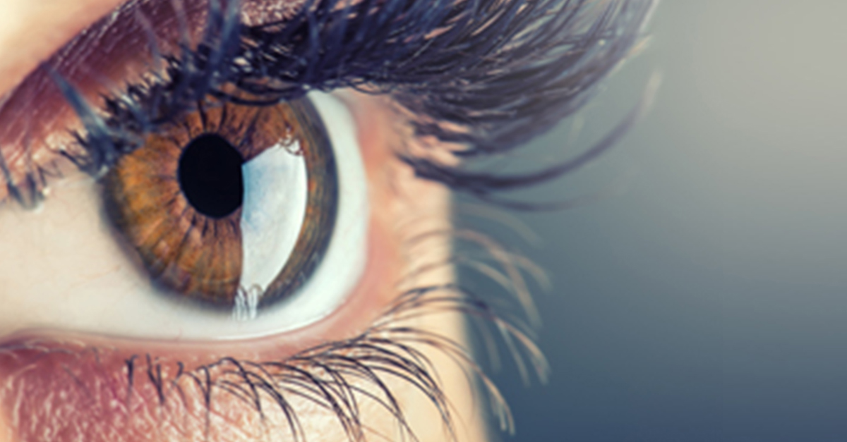 Eye on the target | Laing O’Rourke