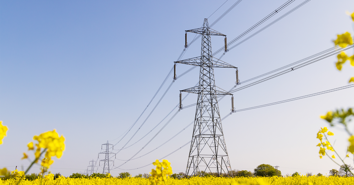 Laing O’Rourke appointed as construction partner for National Grid’s ...