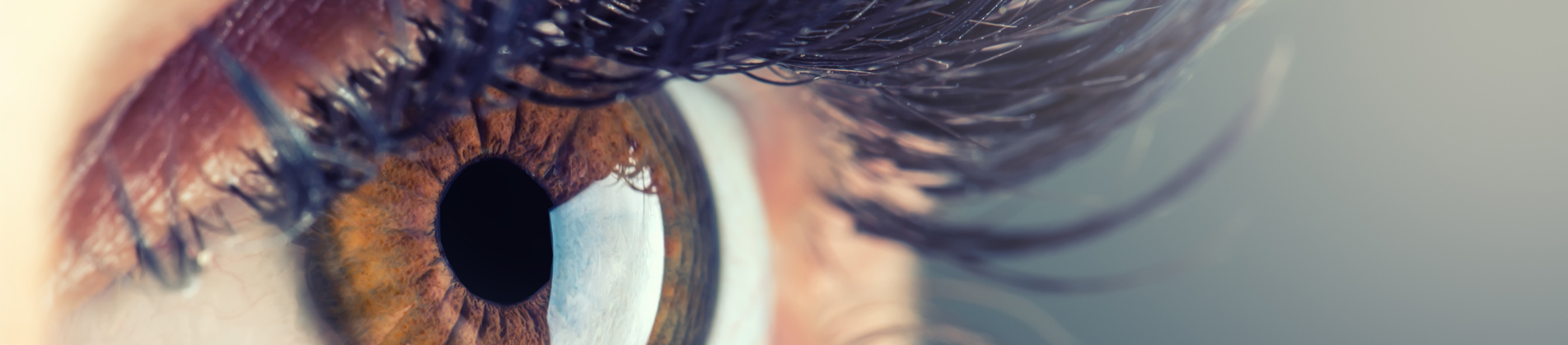 Eye on the target | Laing O’Rourke